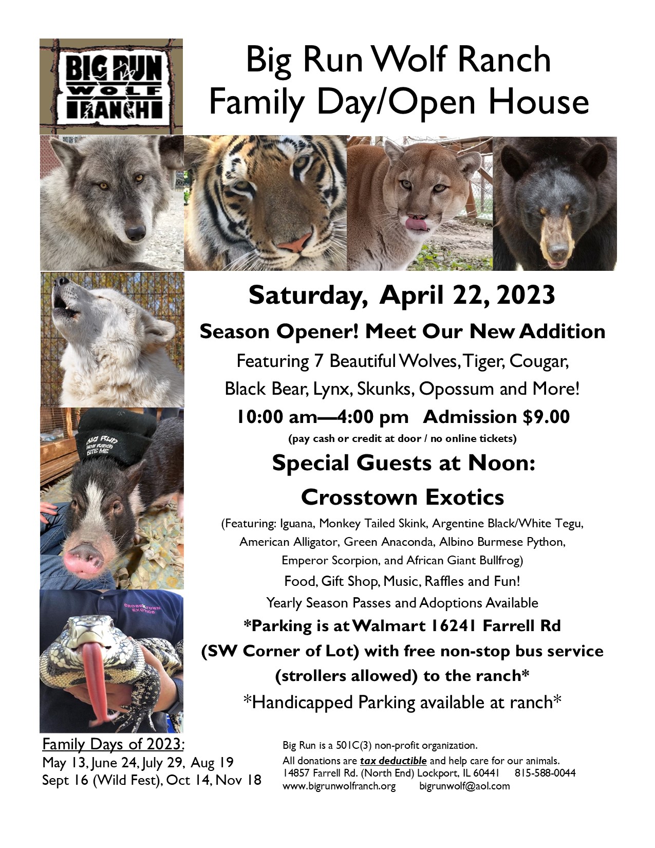 Home - Big Run Wolf Ranch